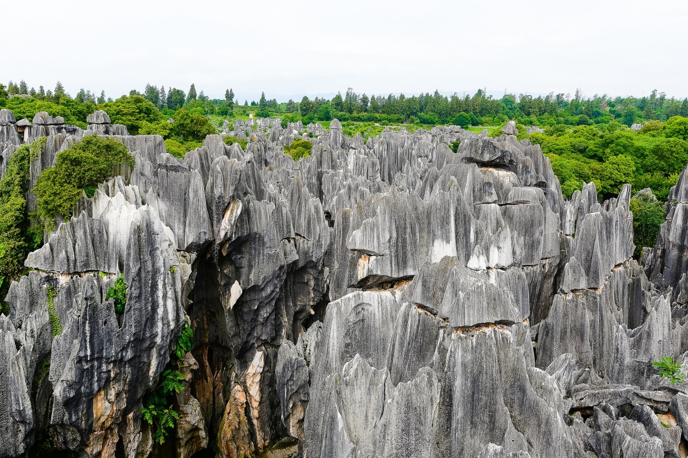 Chinese geological heritage